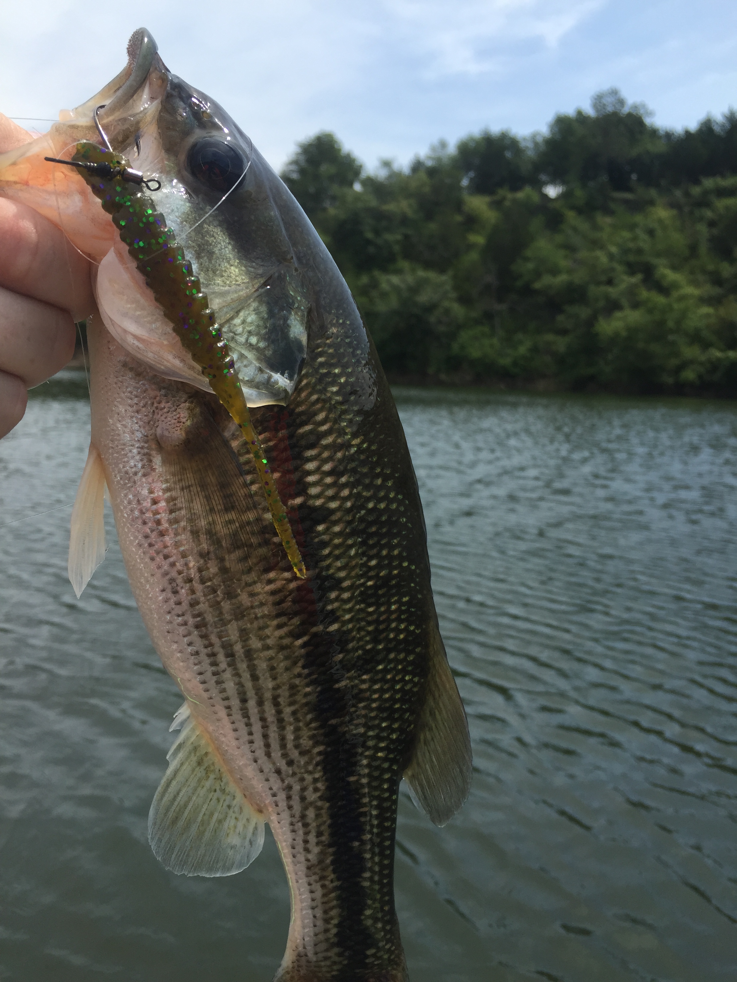 IMG_1895 - Kayak Fishing Focus