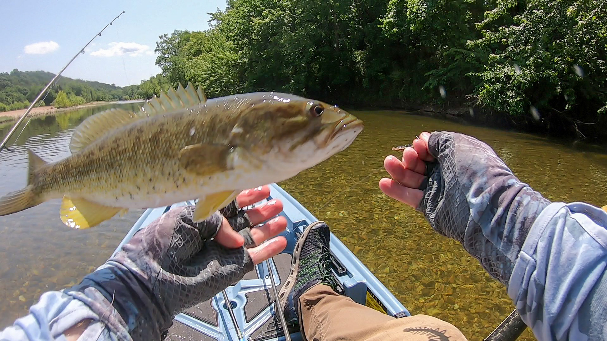 kingssmallie2 - Kayak Fishing Focus